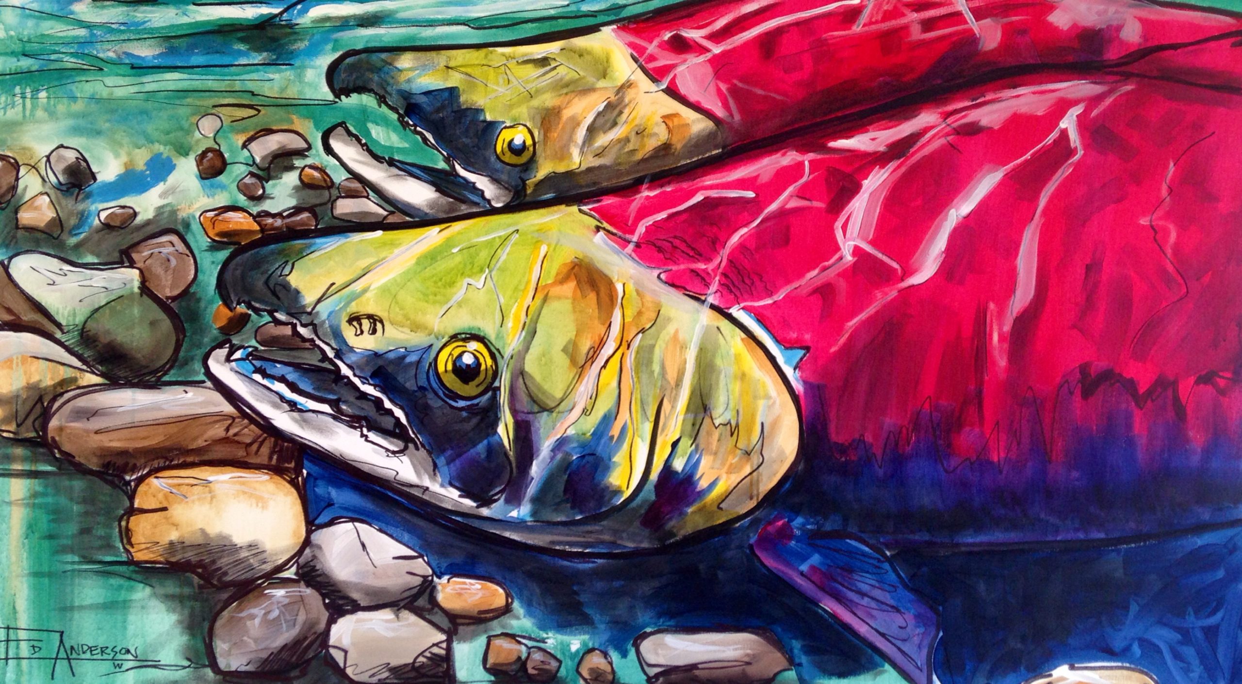 Kokanee | Ed Anderson Art