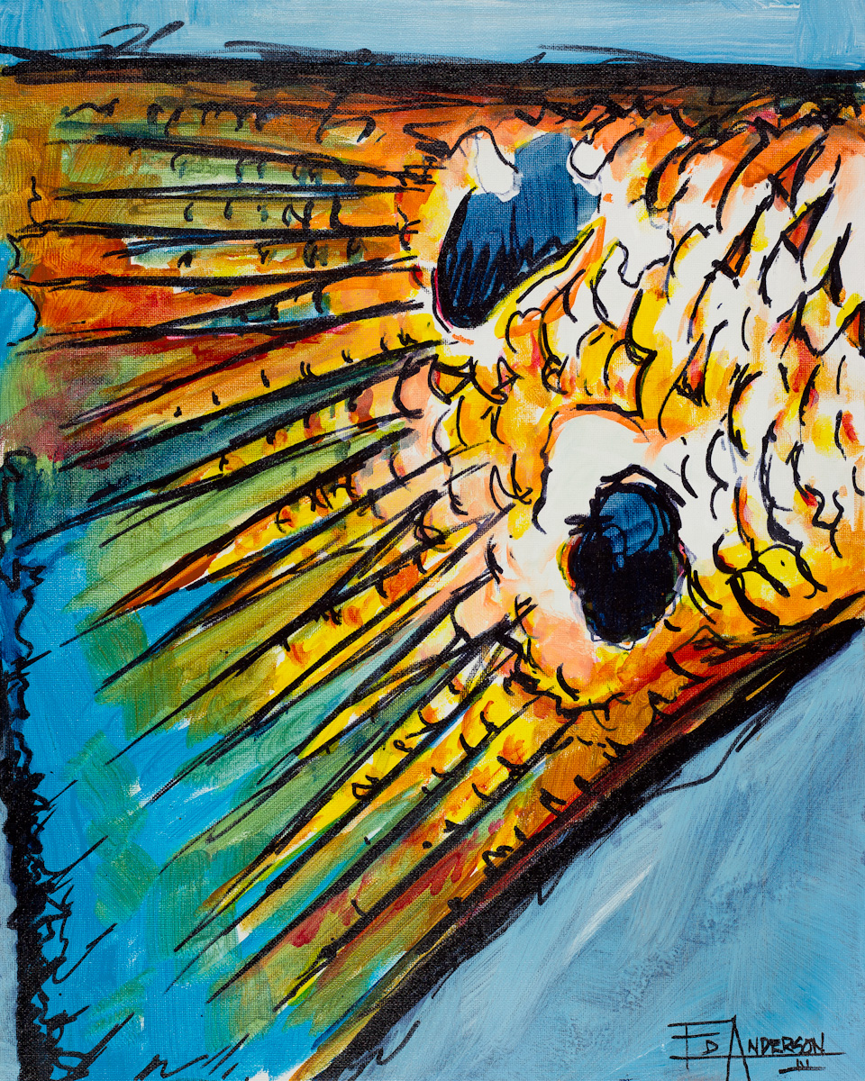 Redfish Tail | Ed Anderson Art