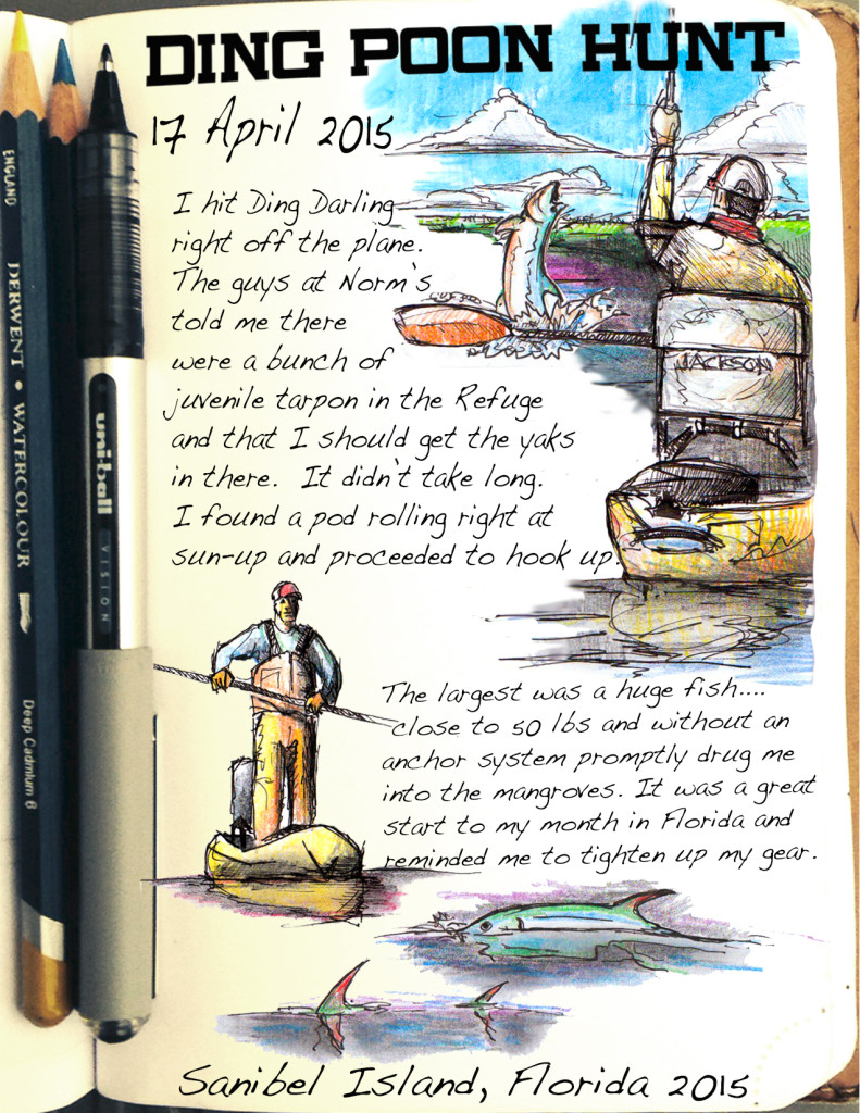 Ding Darling National Wildlife Refuge | Ed Anderson Art