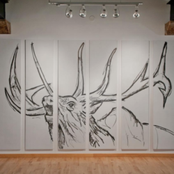 CDA Live Elk Painting - Ed Anderson Art