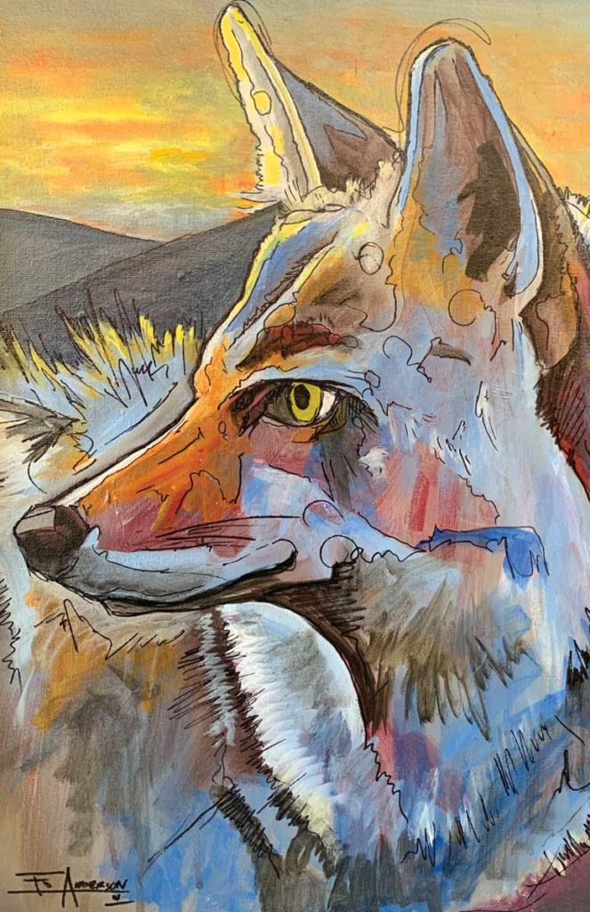 Coyote | Ed Anderson Art