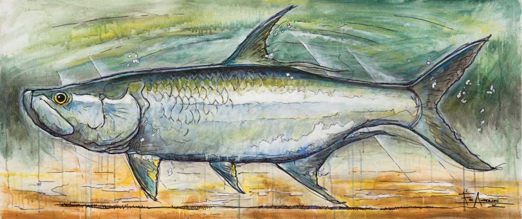 Florida Tarpon | Ed Anderson Art